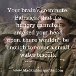 It's part of a cunning plan, sir - Blackadder Goes Forth Quote